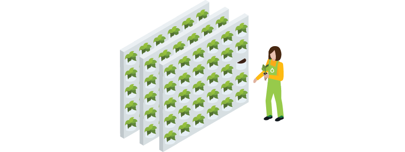 The Food Utility Company - Ponix Farms | Local Food Production