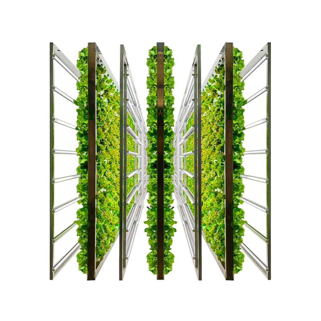 The Food Utility Company - Ponix Farms | Local Food Production