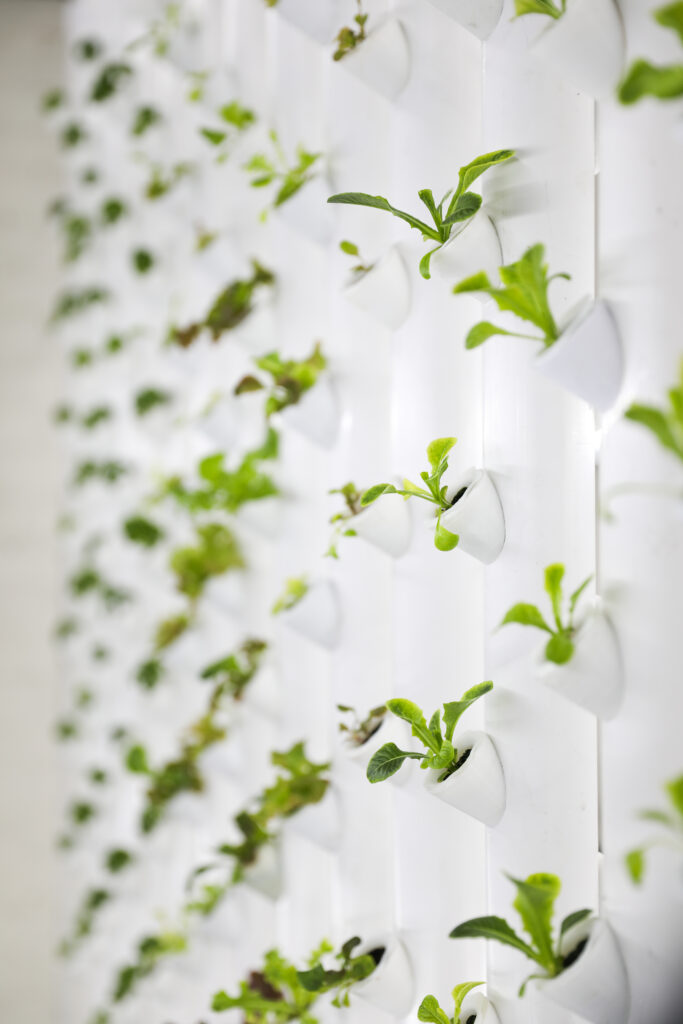 Ponix Farms | Indoor Hydroponic Vertical Farming Solution