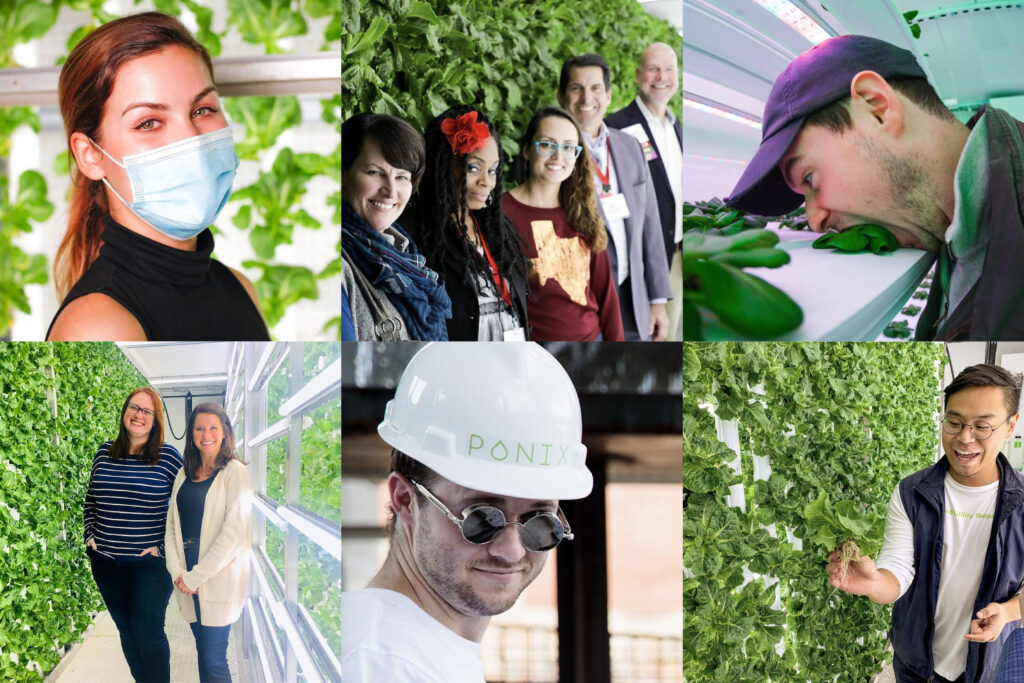 Ponix Farms | The Food Utility Company